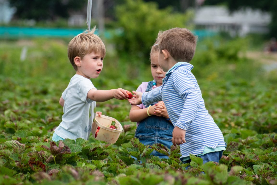 Gallery – The University Club